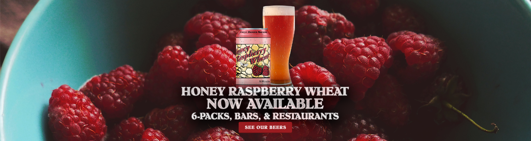 Home - Castle Danger Brewing