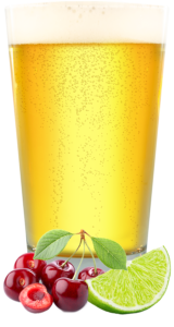 Our Beer - Castle Danger Brewing