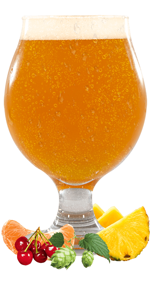 DIPA - Castle Danger Brewing