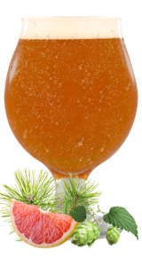 Our Beer - Castle Danger Brewing